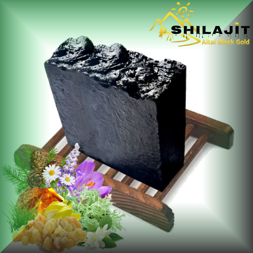 SHILAJIT - ACTIVATED CHARCOAL Therapeutic Herbal Bar (Soap) by Altai B ...