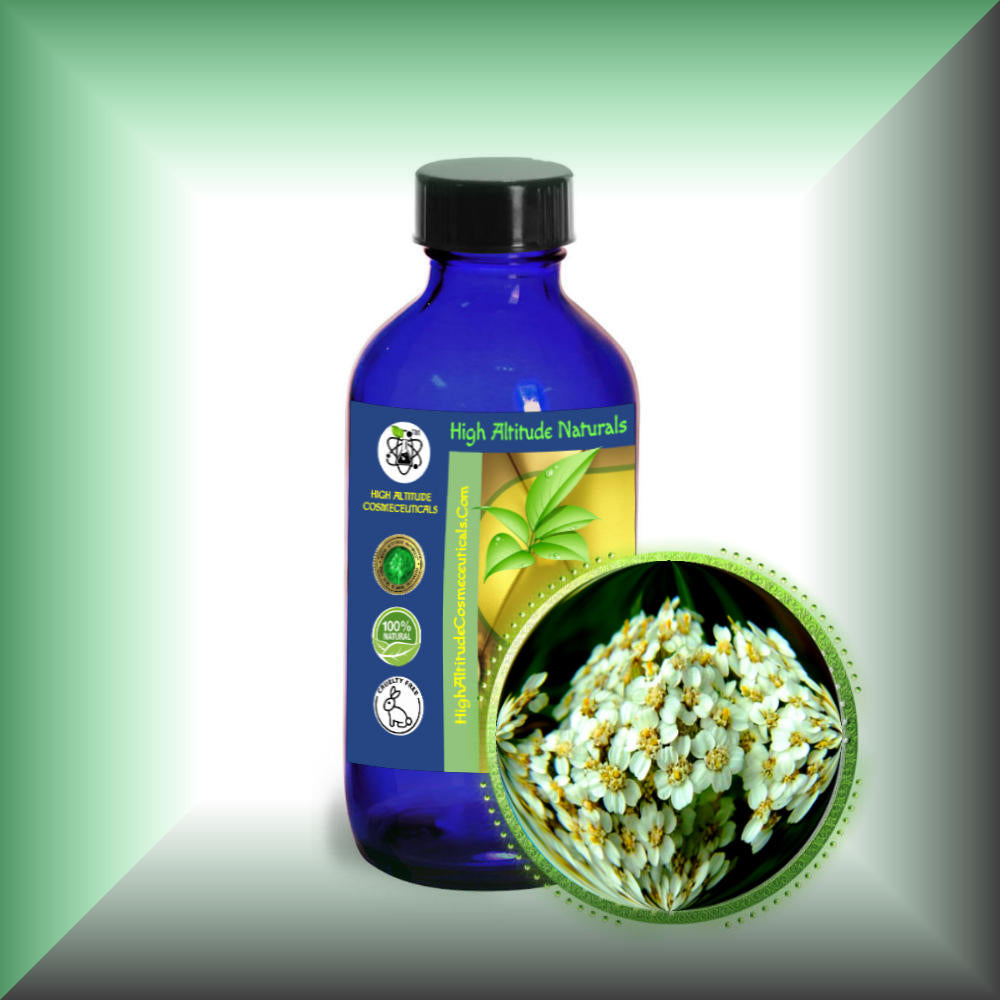 Yarrow (Blue, Achillea Millefolium) Essential Oil – HIGH ALTITUDE ...