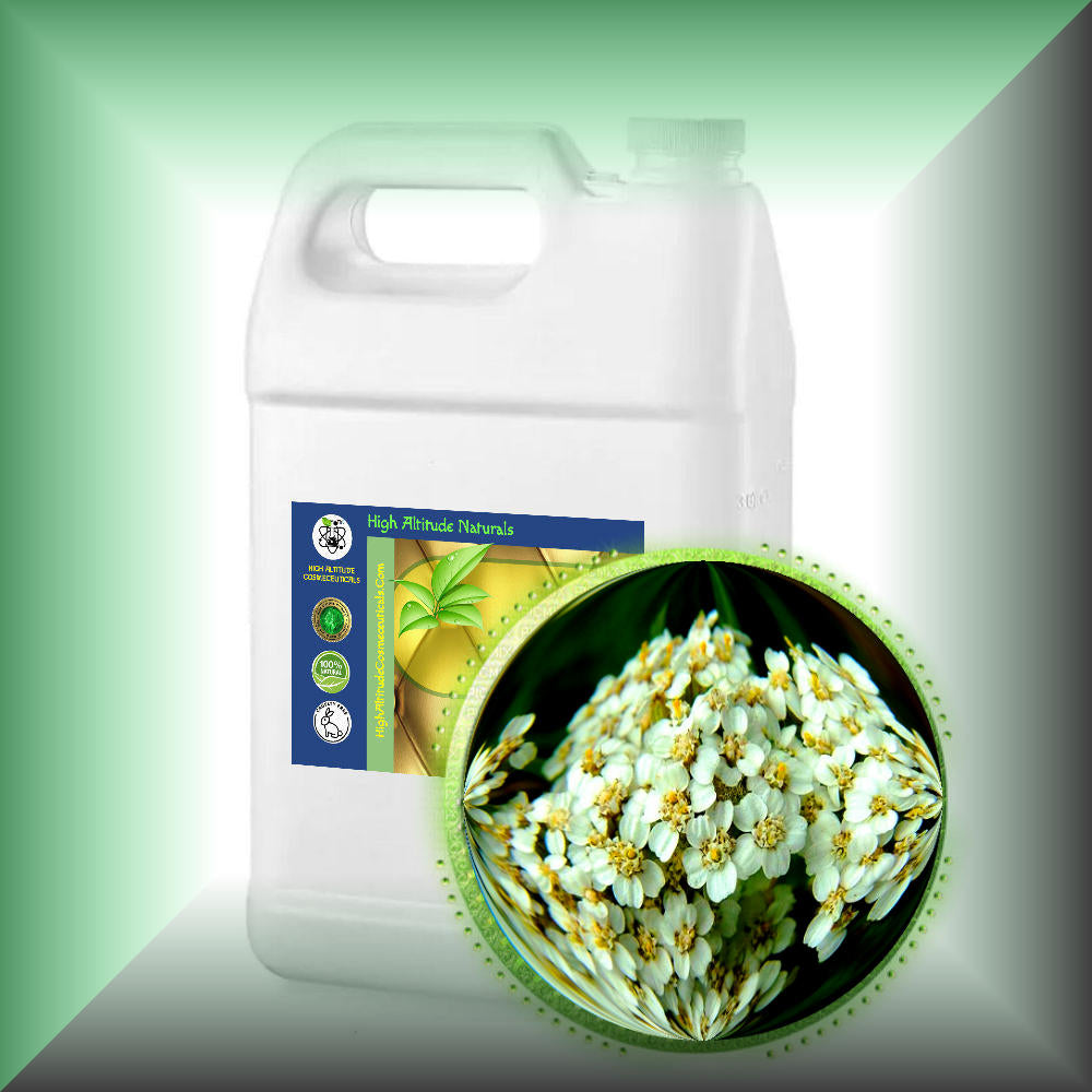 Yarrow (Blue, Achillea Millefolium) Essential Oil – HIGH ALTITUDE ...